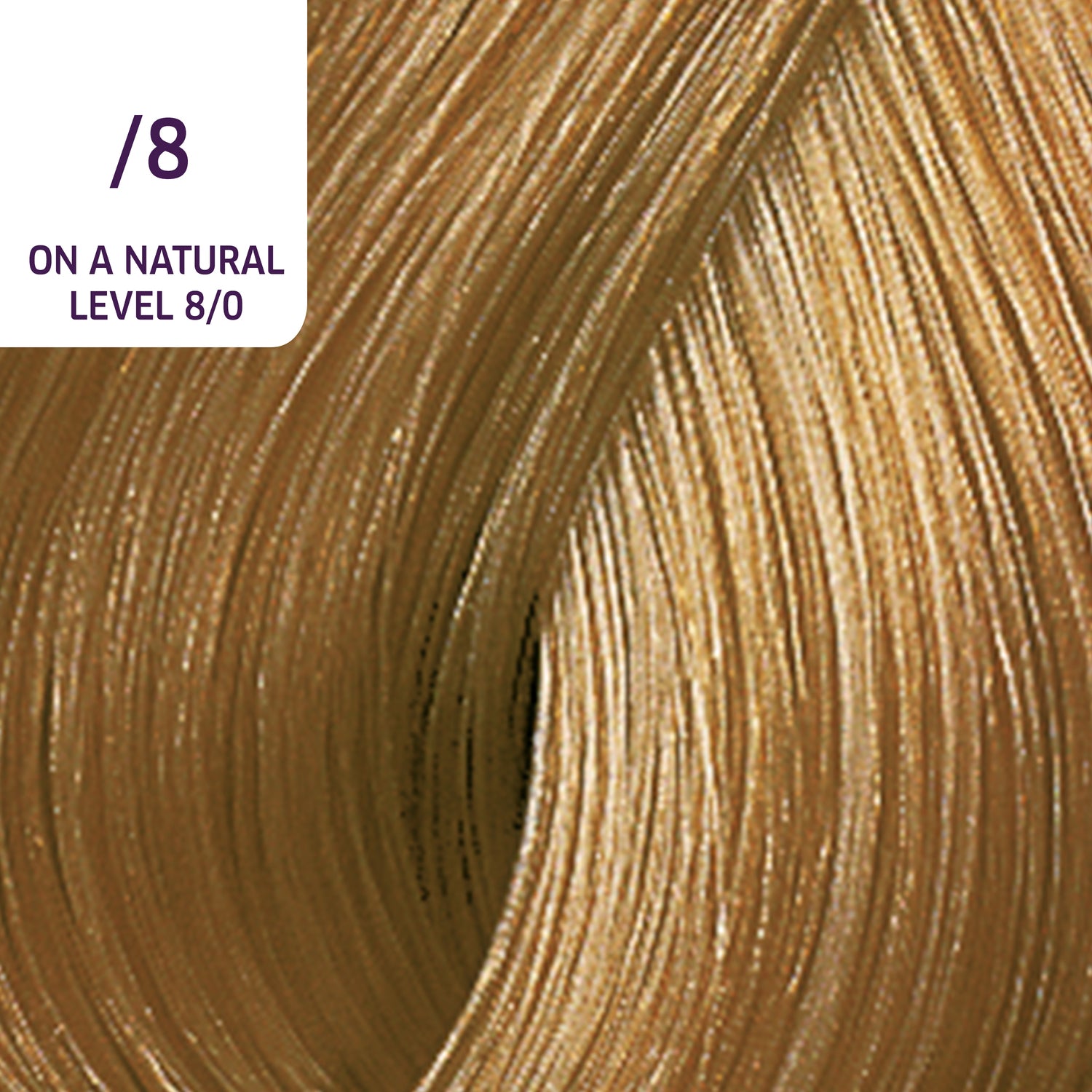 Wella Professionals Color Touch Sunlights Intensiv Haartönung
